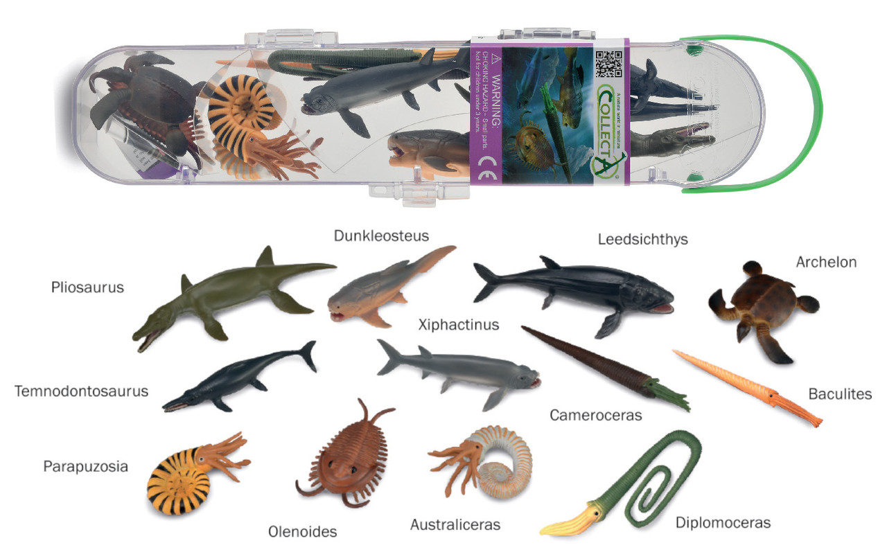 CollectA Mini Prehistoric Marine Animals Box Set #A1104 - 12 Minis