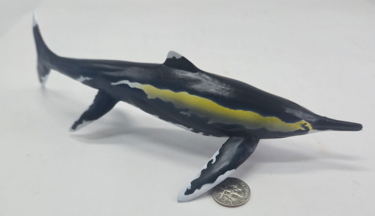 PNSO - Youran the Guizhouichthyosaurus #90