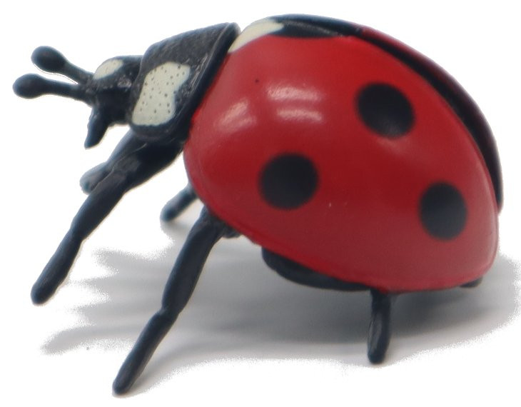 CollectA Wildlife - Ladybird #88474 - Gardening Friend