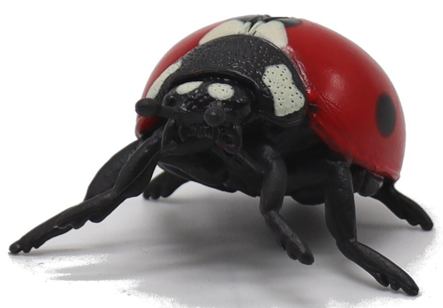CollectA Wildlife - Ladybird #88474 - Gardening Friend