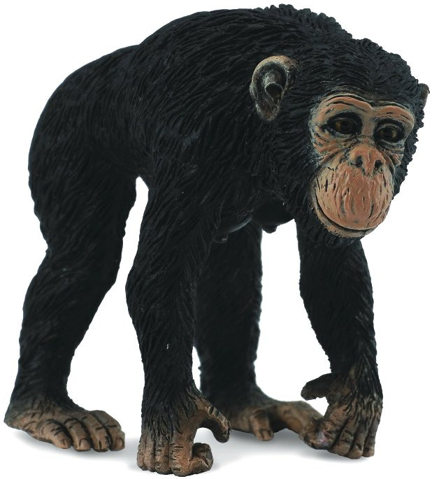 CollectA Chimpanzee - Female 88493 - Walking on Hands / Feet