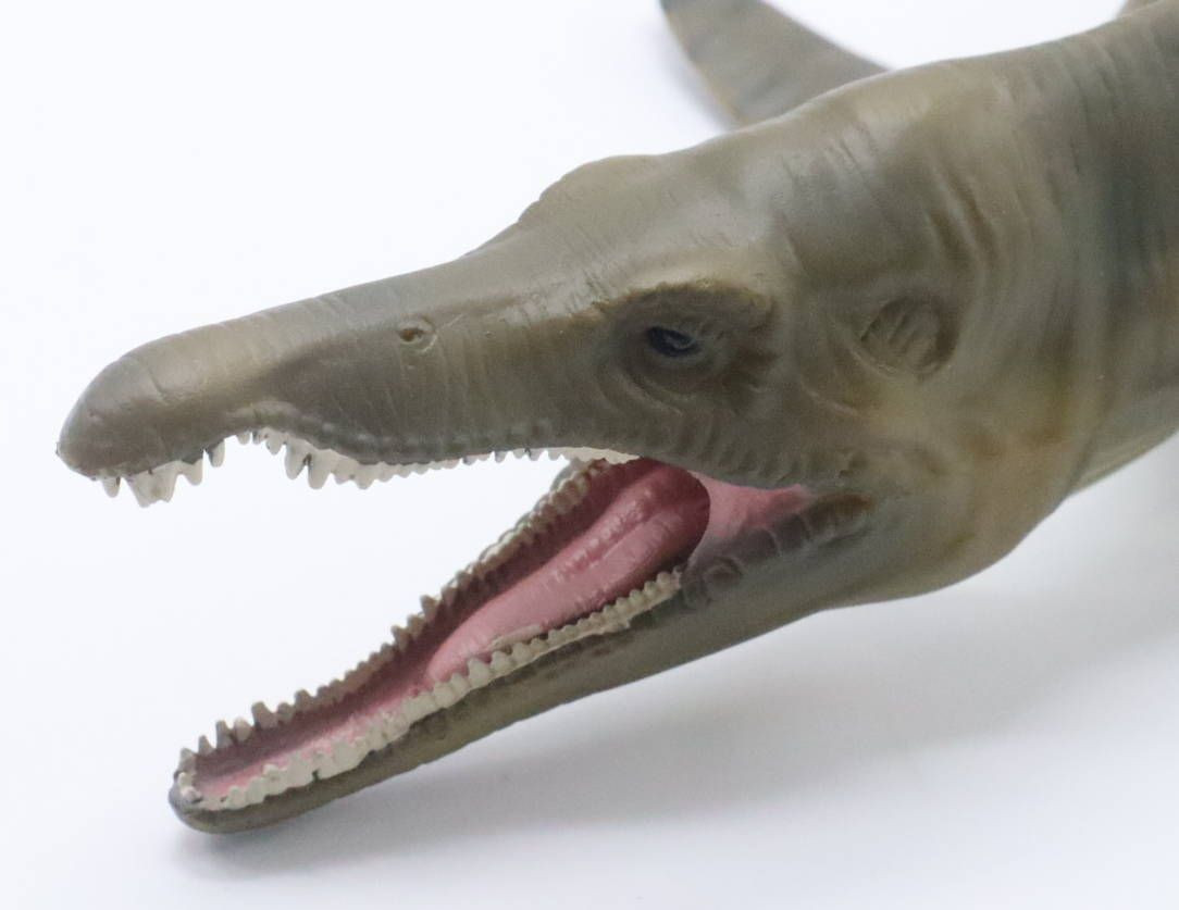 CollectA Pliosaurus Dinosaur Deluxe - 1:40 Scale #88699