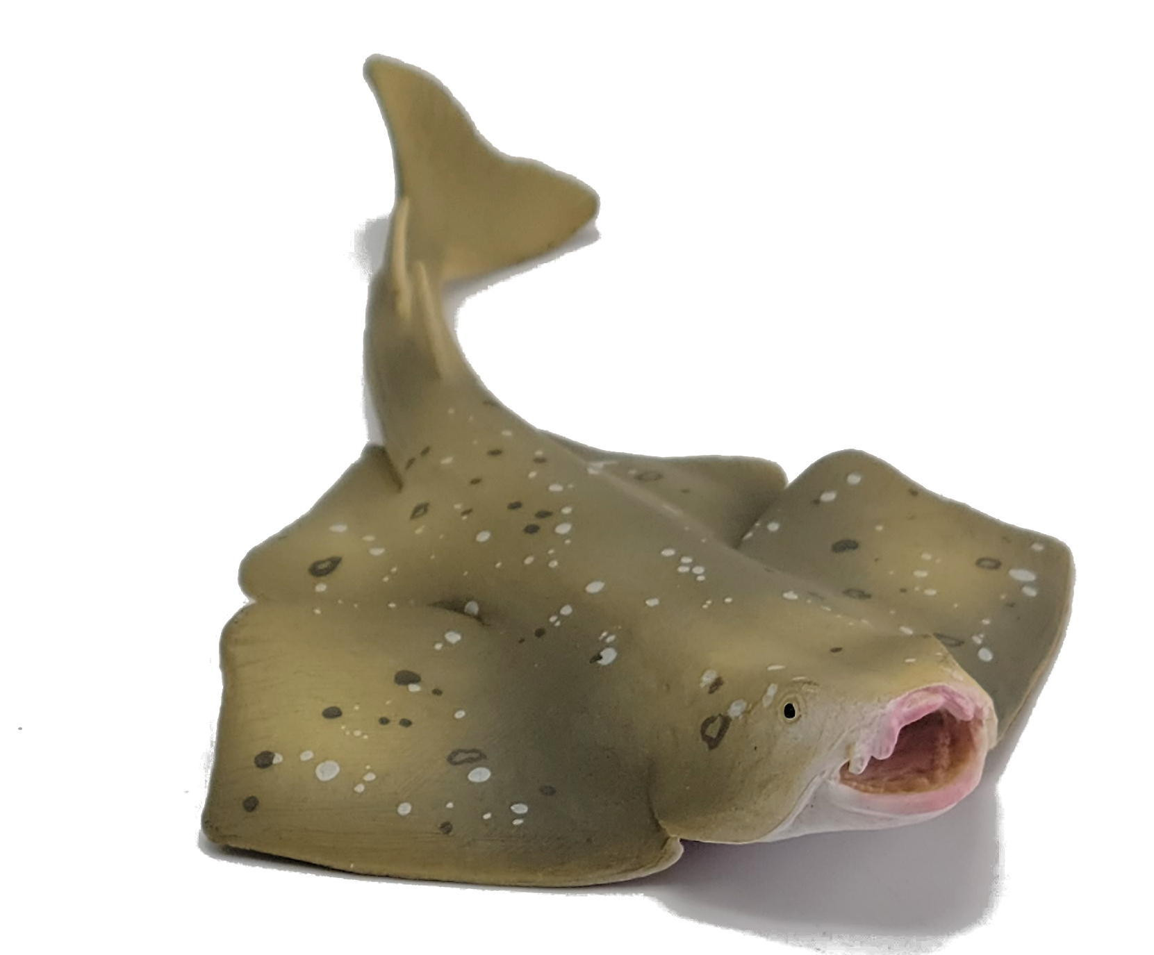 CollectA Sealife - Angel Shark #88999 - bottom feeder