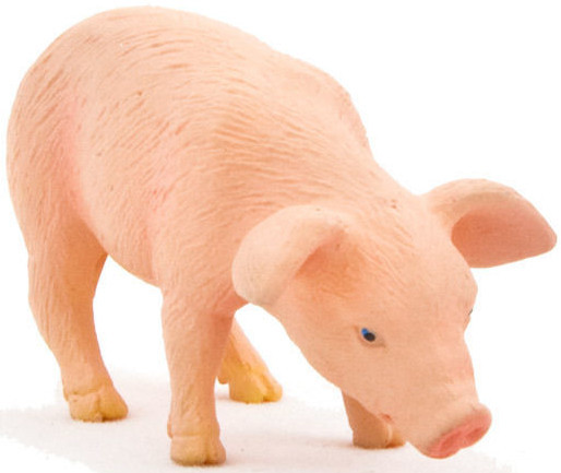 Mojo Piglet #387055 - Enduing mini pig in standing pose.