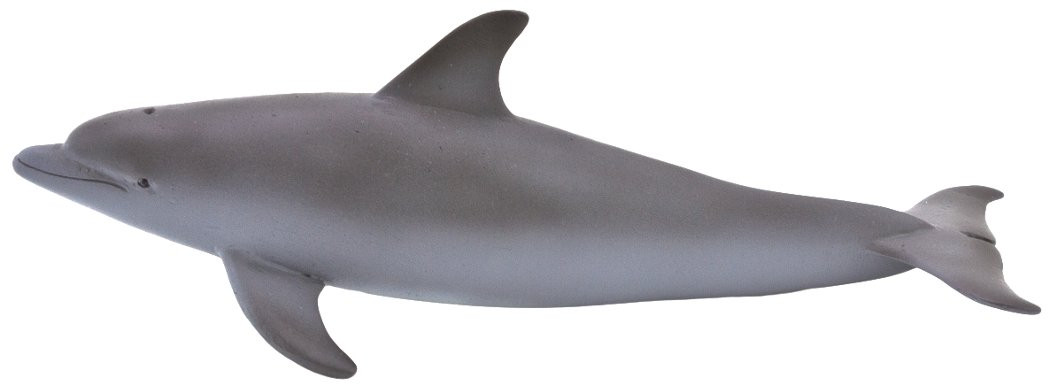 CollectA - CollectA Bottlenose Dolphin by CollectA 88042