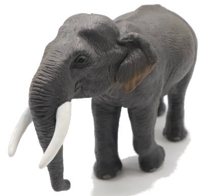 Papo Asian Elephant #50131 - Indicative Twin Dome Head