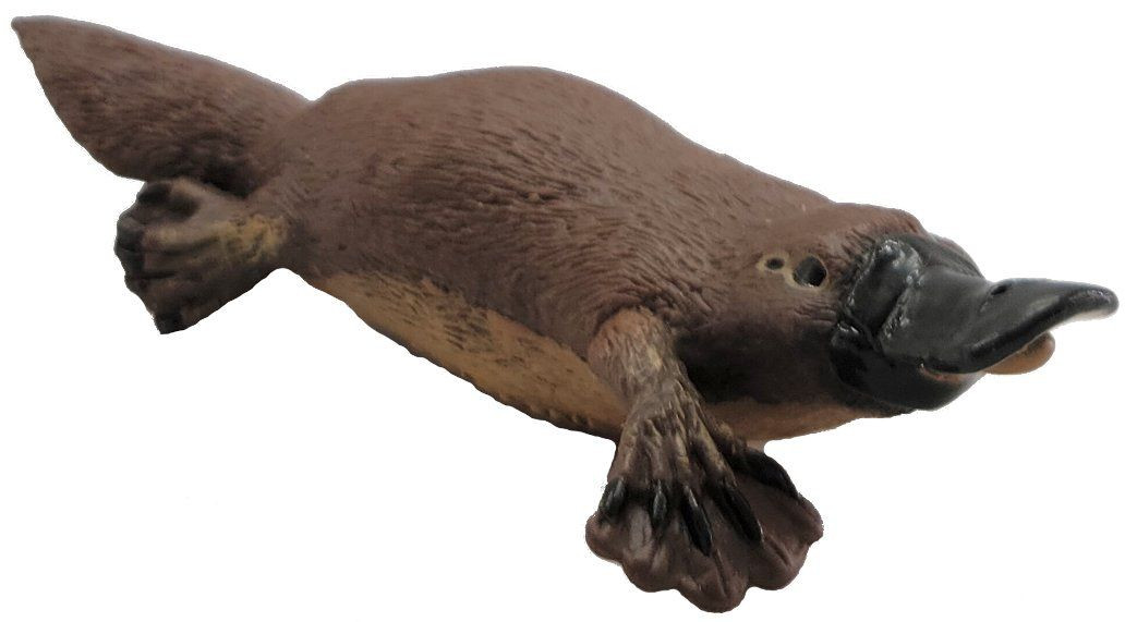 Mojo Duck Billed Platypus #387106 - Odd Looking Mammal