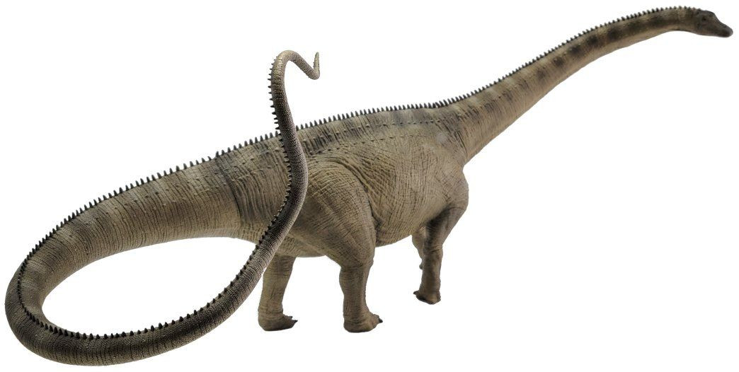 REBOR - Female Diplodocus Carnegii Catch the Rainbow #161038