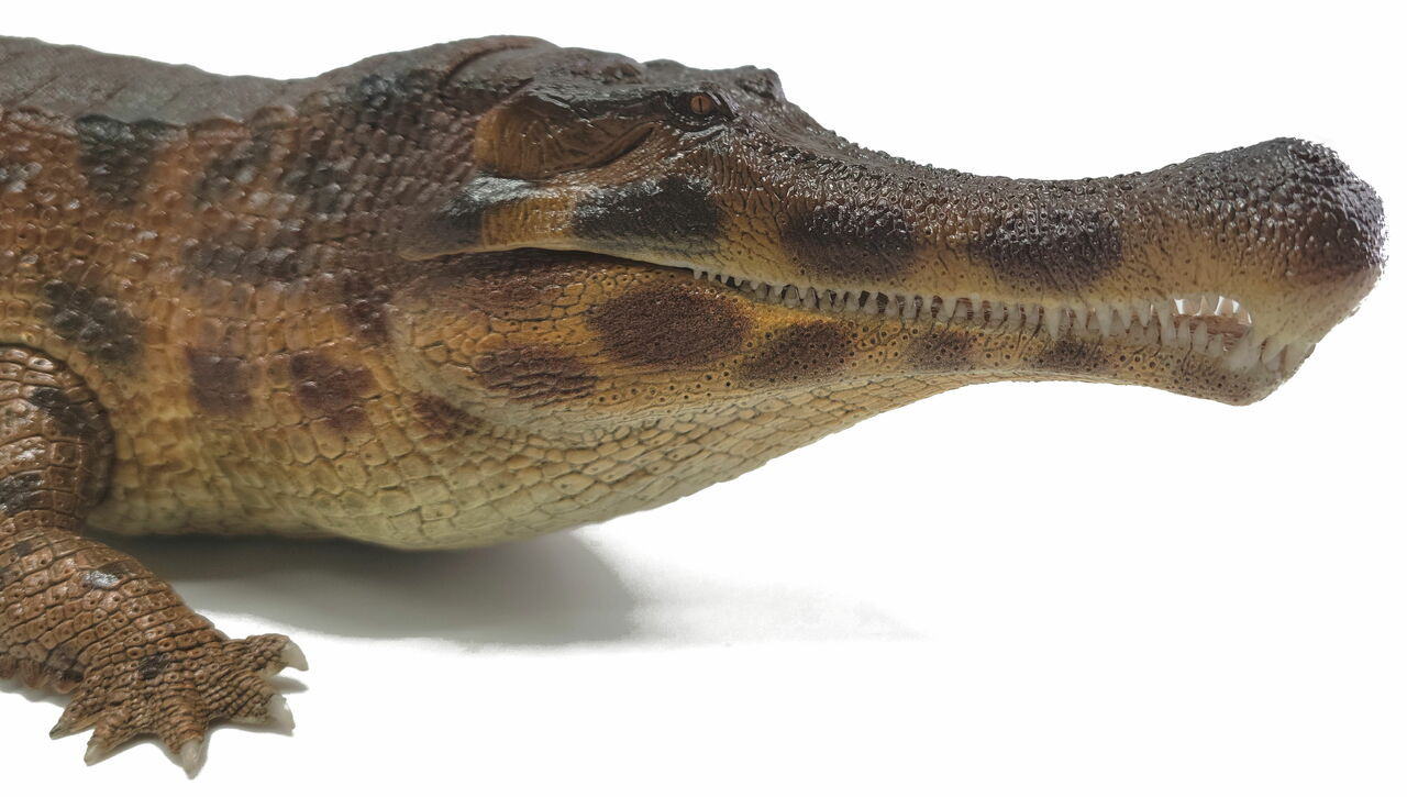Sarcosuchus imperator Lica - River Deluxe 1:35 Model (REBOR)