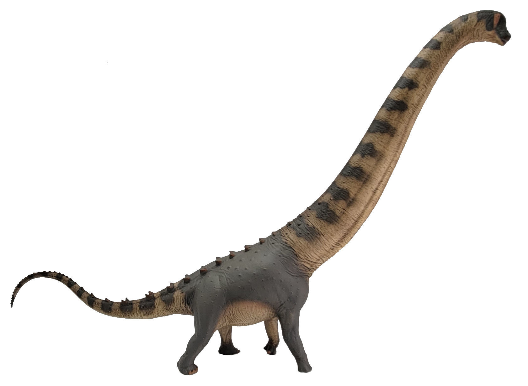 CollectA Dinosaurs - CollectA Alamosaurus by CollectA 88462