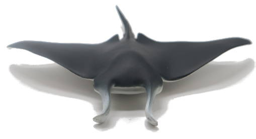 Papo Sea Life - Manta Ray #56006 - Dark Black Coloring