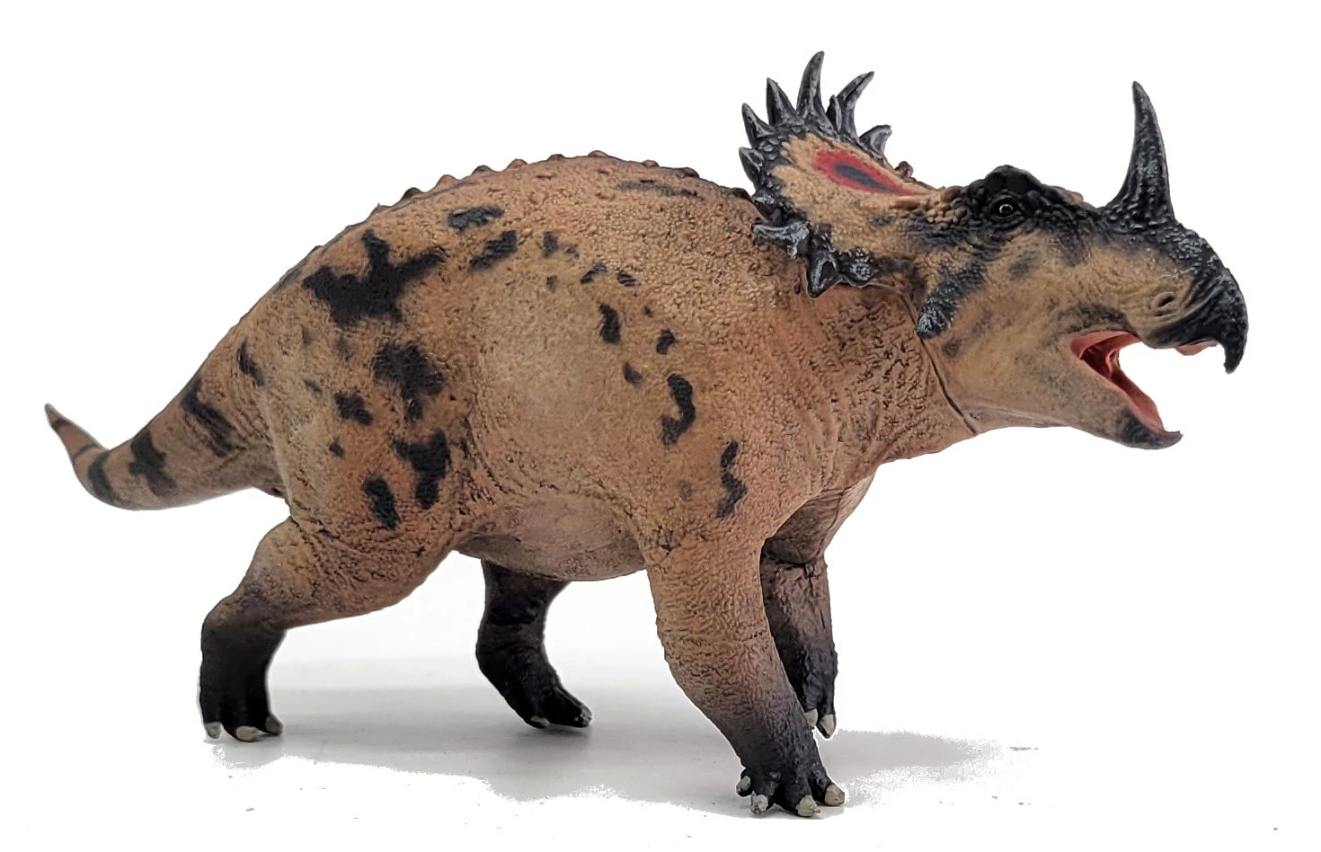 PNSO A-Qi The Sinoceratops #40 - Dinosaur Museum Series