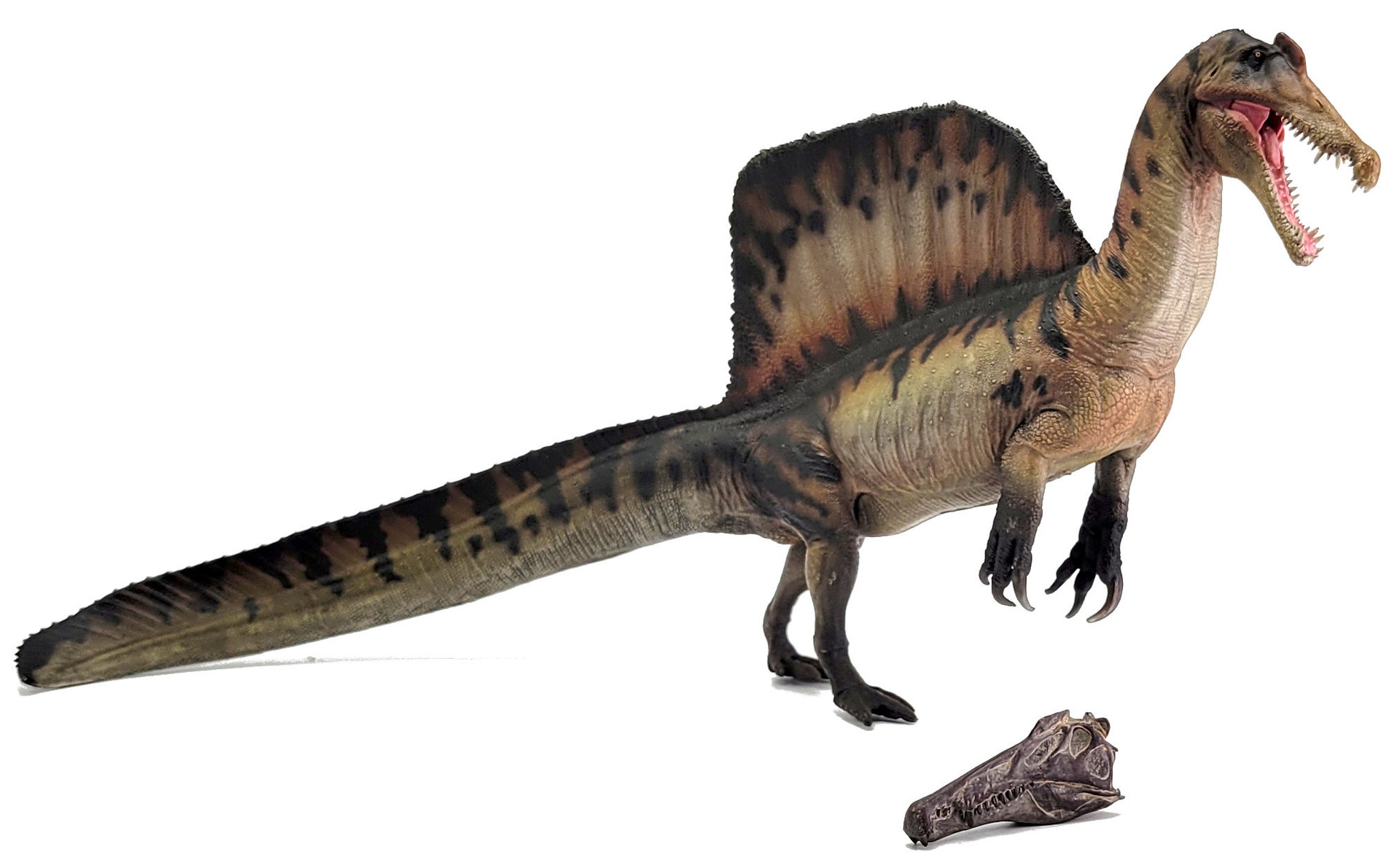 PNSO - Essien The Spinosaurus #35 - Dinosaur Museum Series