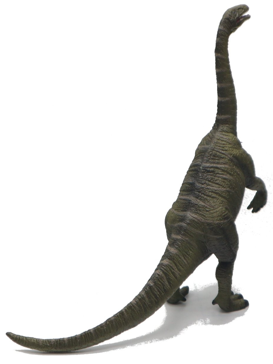 CollectA Dinosaurs - Plateosaurus #88513 - Hind Leg Standing