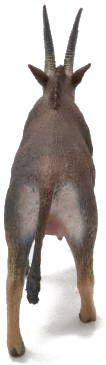 CollectA Giant Sable Antelope - Female #88578 - Retired