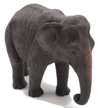 Papo Asian Elephant #50131 - Indicative Twin Dome Head