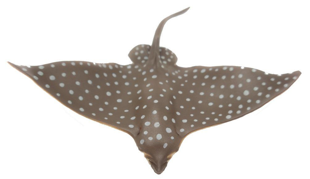 Papo Sea Life - Manta Ray #56006 - Dark Black Coloring