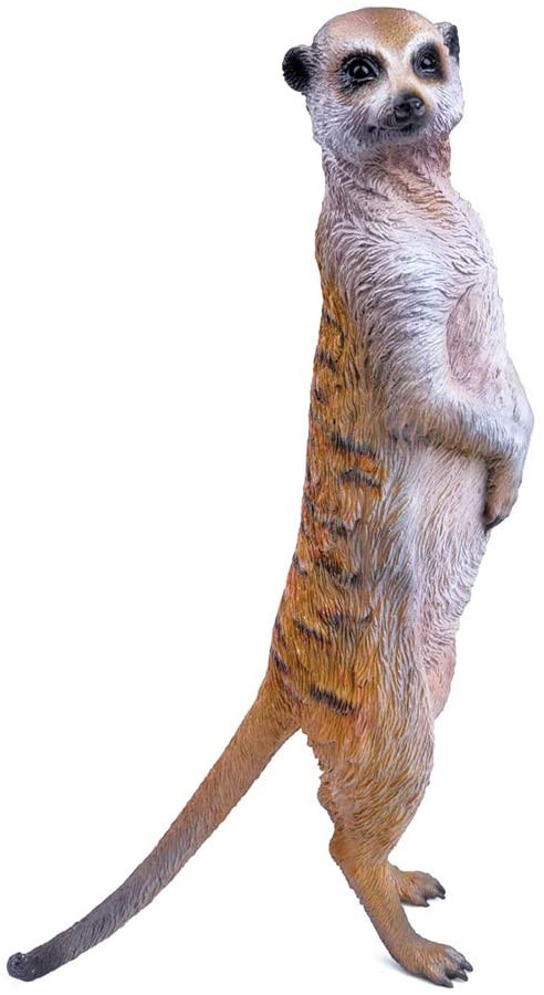 PNSO Duoduo the Mongoose #202012 - Living Animal Series