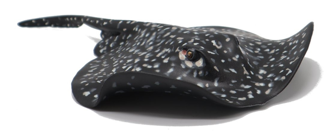 Safari Ltd. - Sawfish #211902 - Sailtooth Carpenter Shark
