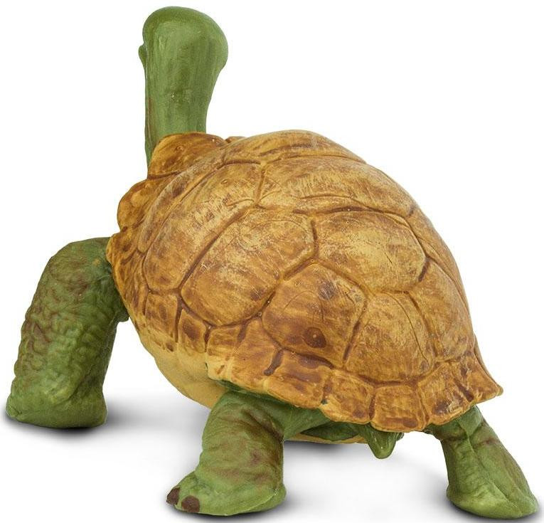 Mojo Wildlife - Giant Tortoise #387259 - Nice Brown Tones