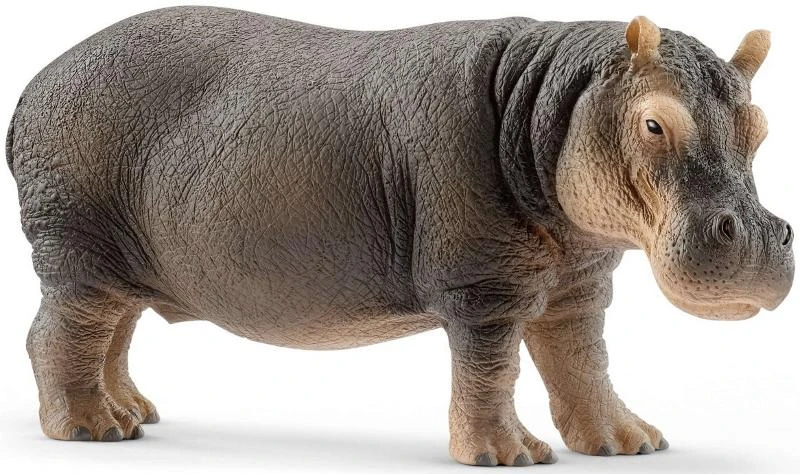 Toy Hippopotamus and Toy Hippo Figures - Bulls, Cows, Calfs