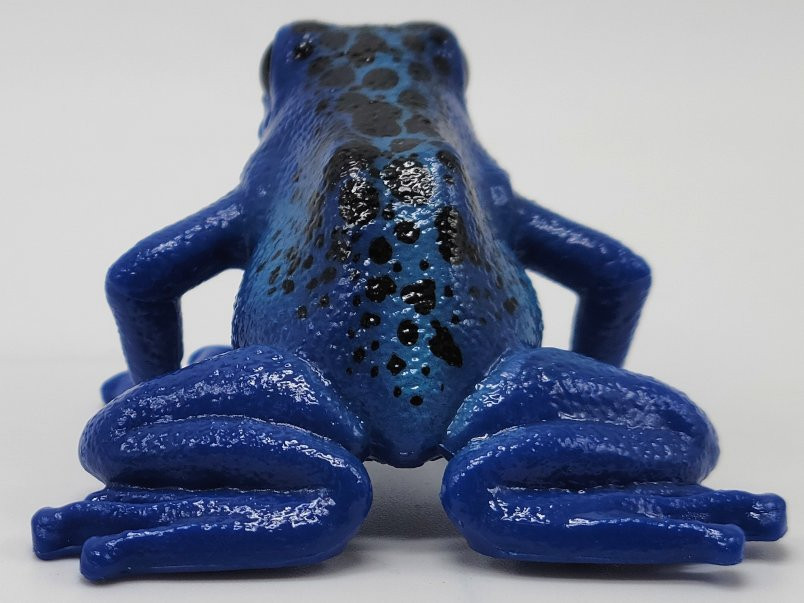 Schleich Blue Poison Dart Frog 14864 - Non Toxic Toy Version