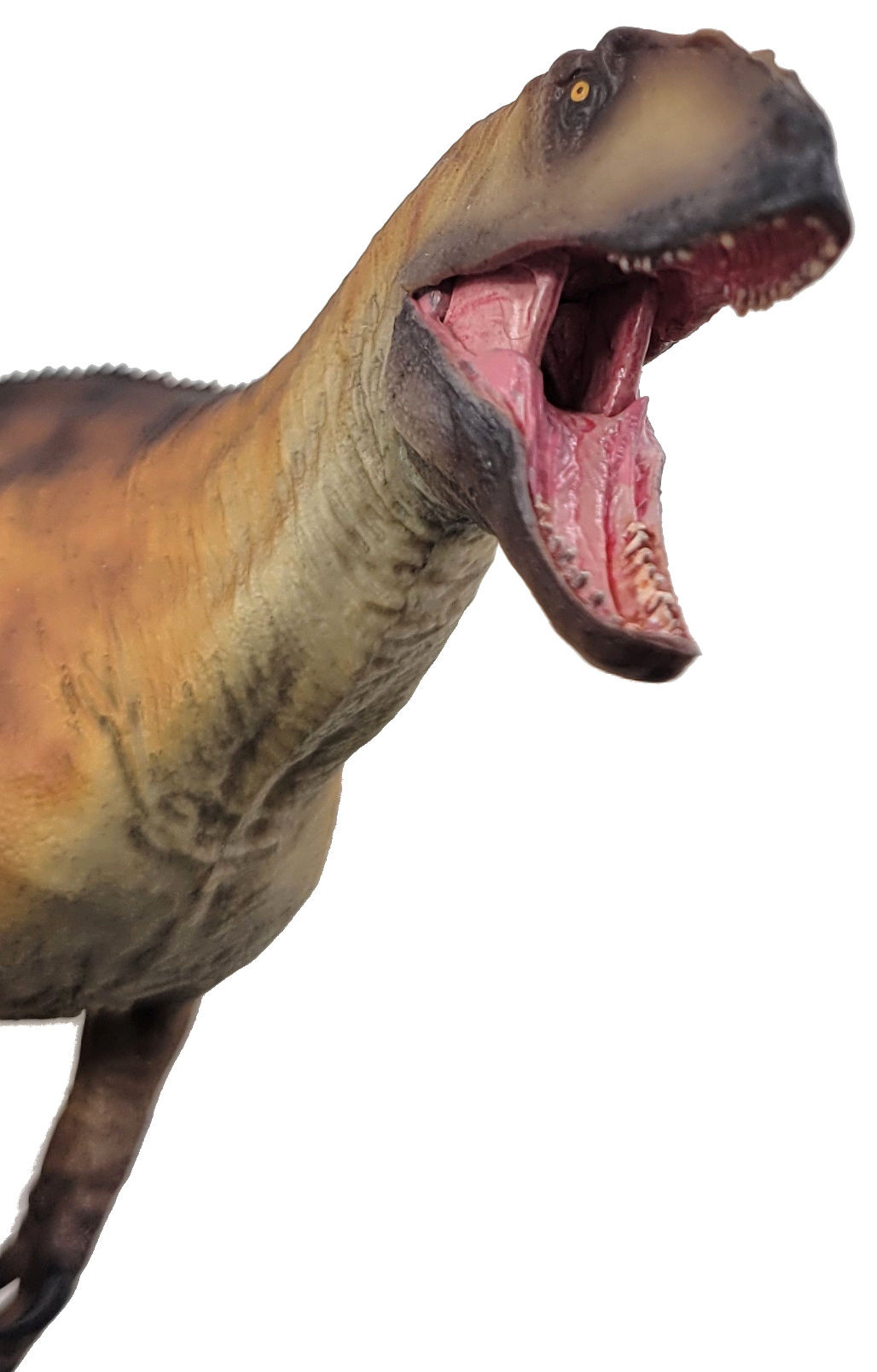 PNSO Requena the Livyatan #56 - New 2021, Stunning Sheen