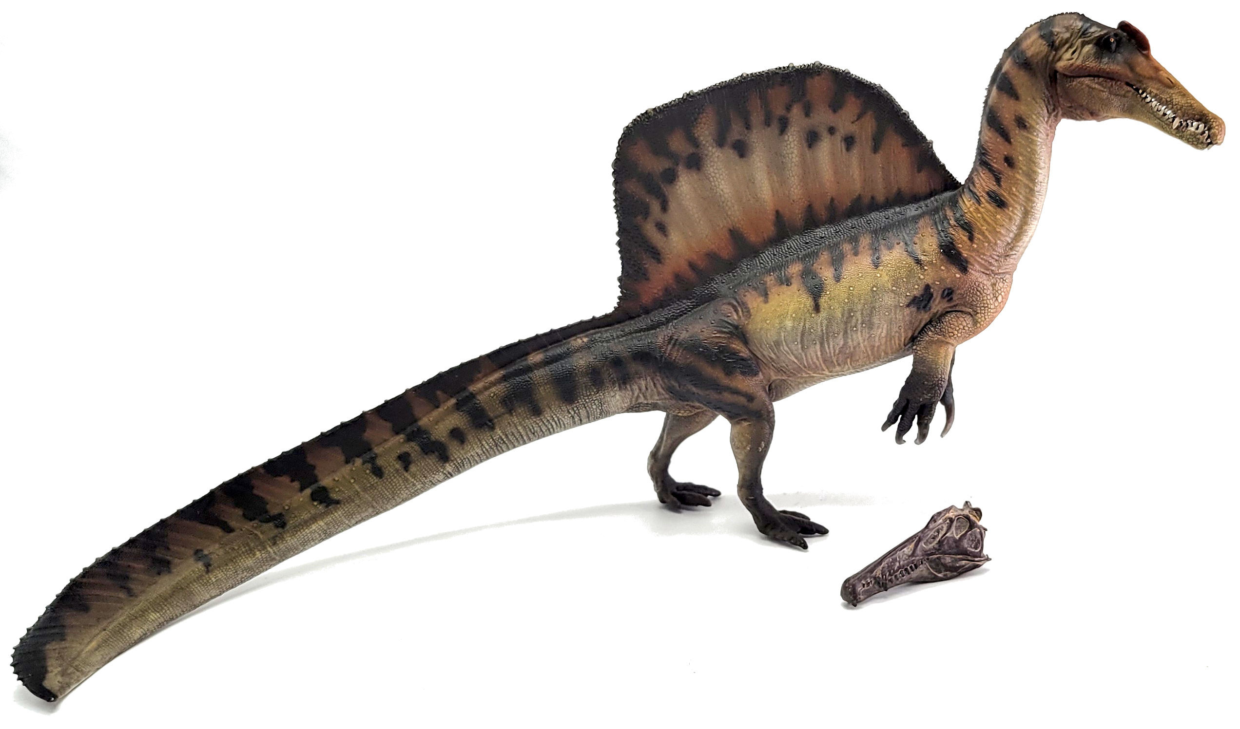 Spinosaurus - Aymen (PNSO)