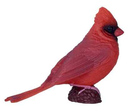 Mojo - Red Cardinal New 2025 #381117
