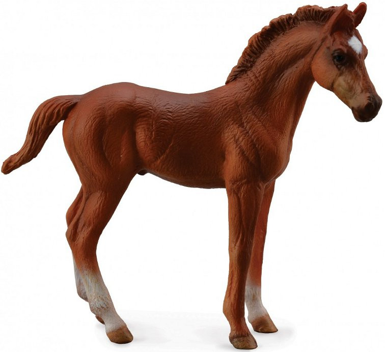 CollectA Haflinger Foal - Standing #88516 - Playful Model