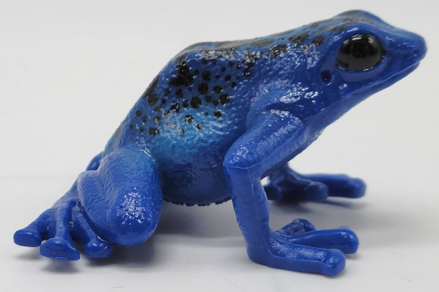 Schleich Blue Poison Dart Frog 14864 - Non Toxic Toy Version