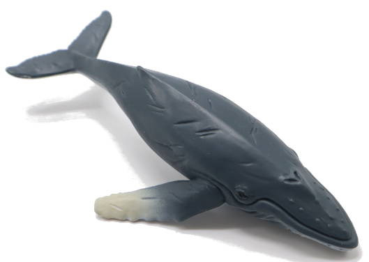 CollectA Sealife - Humpback Whale Calf #88963 - Battle Scars