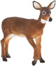 Mojo White Tailed Deer - Fawn #387036 - Spotted Bambi