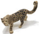 Papo Clouded Leopard #50316