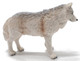Papo Wild Animals - Arctic Wolf #50195 - White/Grey Fur Coat