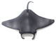 Papo Sea Life - Manta Ray #56006 - Dark Black Coloring