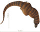 PNSO Andrea the Female Tyrannosaurus-New 2021 - Laying T-Rex