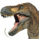 PNSO Wilson The T-Rex - Dinosaur Museum Series, 2020 Version