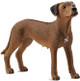 Schleich Dogs - Rhodesian Ridgeback 13895 by Schleich