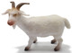 CollectA Farm Animals - Billy Goat #88212 - Two Horned Buck