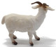 CollectA Farm Animals - Billy Goat #88212 - Two Horned Buck