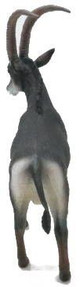 CollectA Giant Sable Antelope - Male #88564 - Nice horns