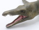 CollectA Pliosaurus Dinosaur Deluxe - 1:40 Scale #88699