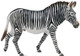 CollectA Wildlife - Grevy's Zebra #88773 - Great Stripes