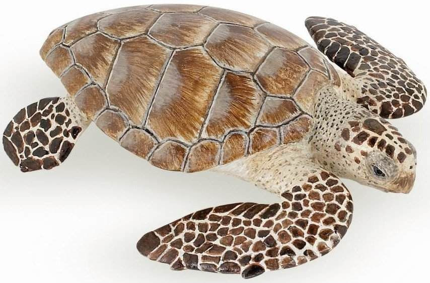 Papo Loggerhead Turtle #56005 - Detailed Sculpted Shell