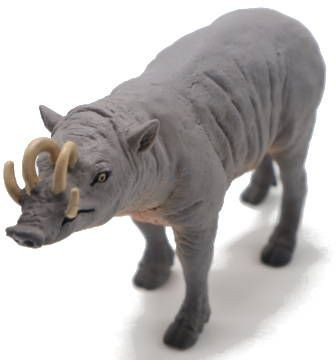 Safari Ltd. Wildlife