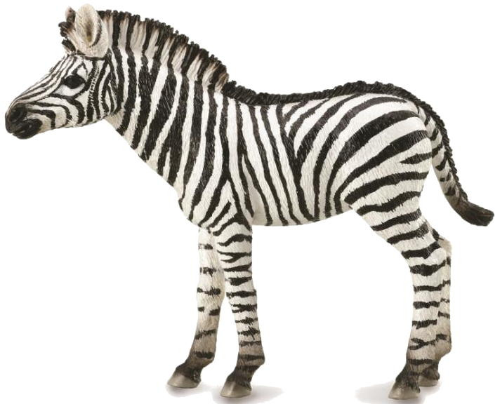 CollectA Common Zebra #88032 - Original CollectA Model