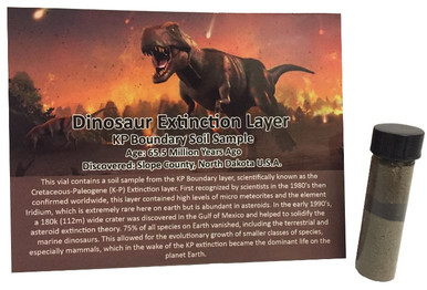 Prehistoric Fossil - KP Extinction Layer Sample