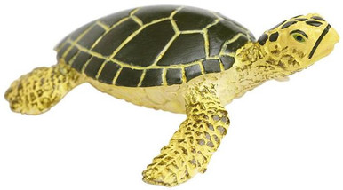 Safari Ltd. - Green Sea Turtle Baby #201329 - Green Shell