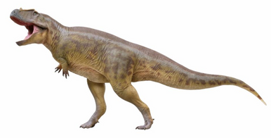 PNSO - Mayer the Tameryraptor #95
